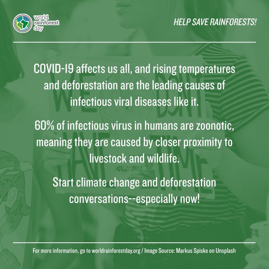 Let’s Save the Rainforest! [Tips] – ecogreenlove