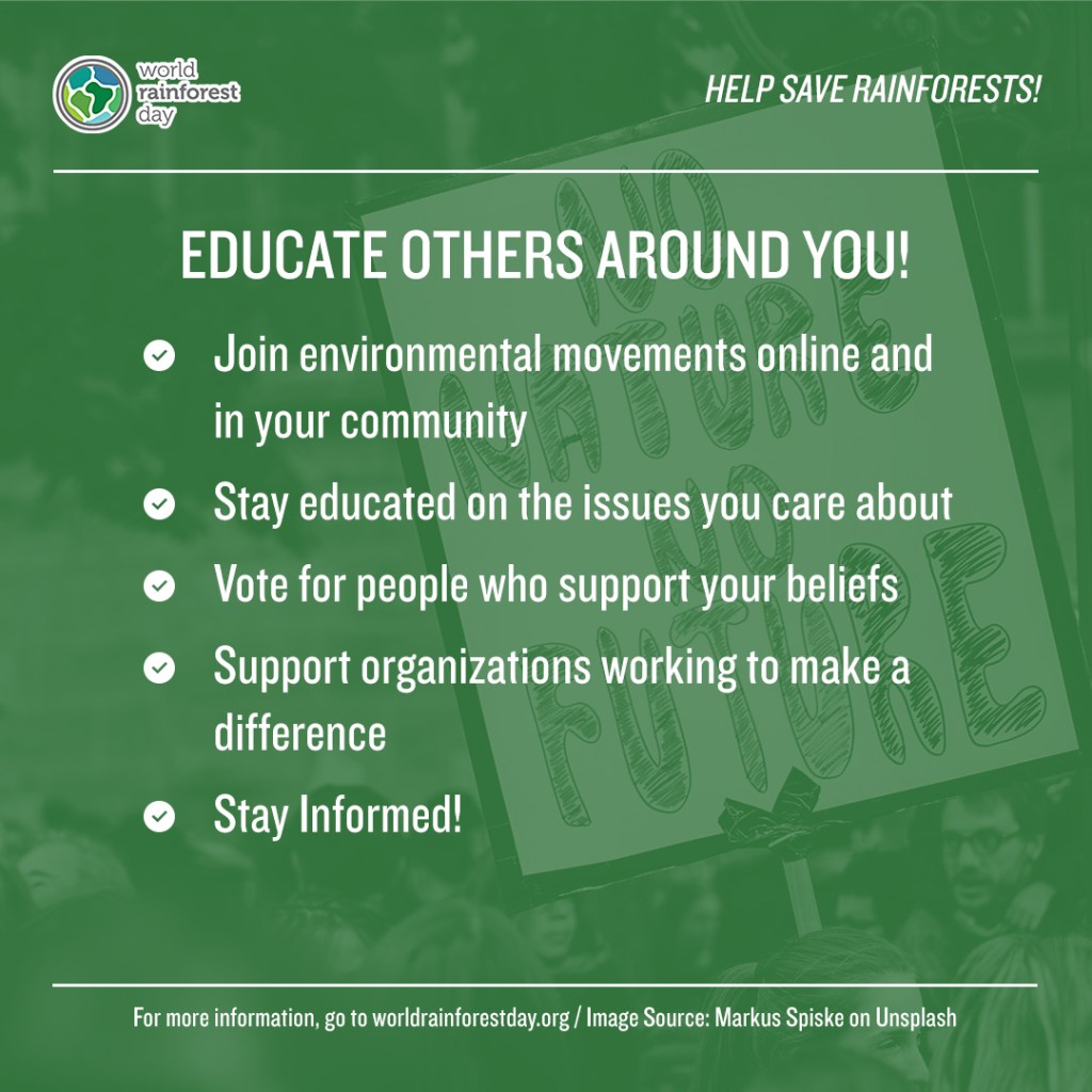 Let’s Save the Rainforest! [Tips] – ecogreenlove