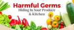 Kitchen and Produce Hygiene Habits [Infographic] – ecogreenlove