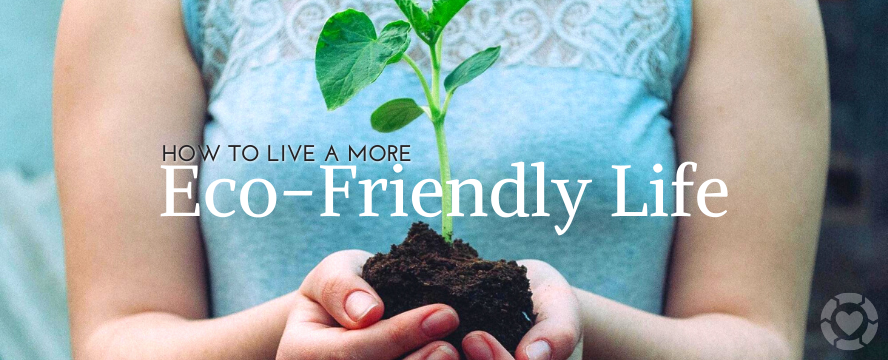 How to Live a more Eco-Friendly Life – ecogreenlove