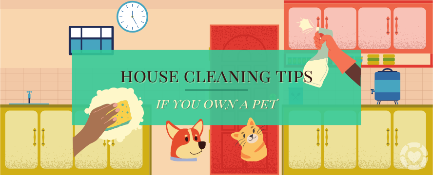 Eco-friendly house cleaning tips if you own a pet – ecogreenlove