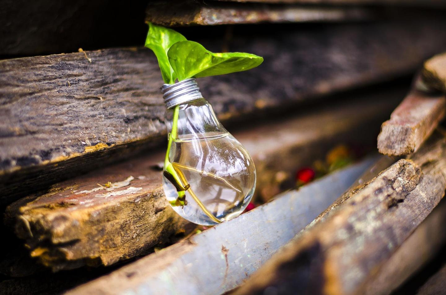 Home Projects that make your Life Greener – ecogreenlove