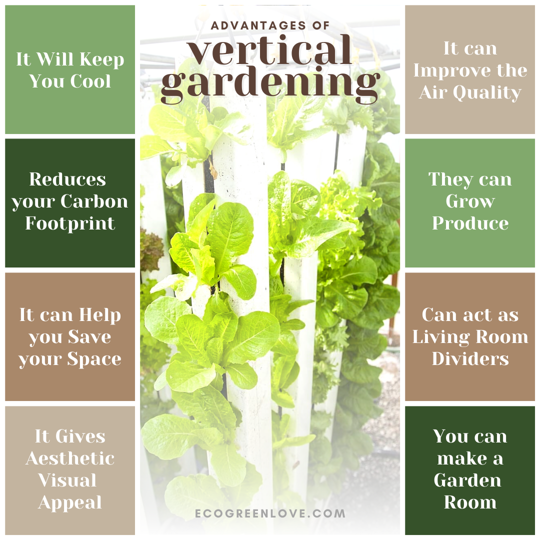 Amazing Advantages of Vertical Gardening – ecogreenlove