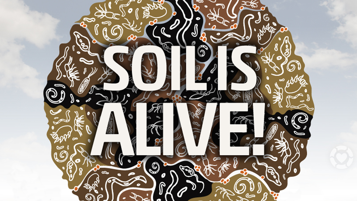 Soil is Alive! [Visual + Video] – ecogreenlove