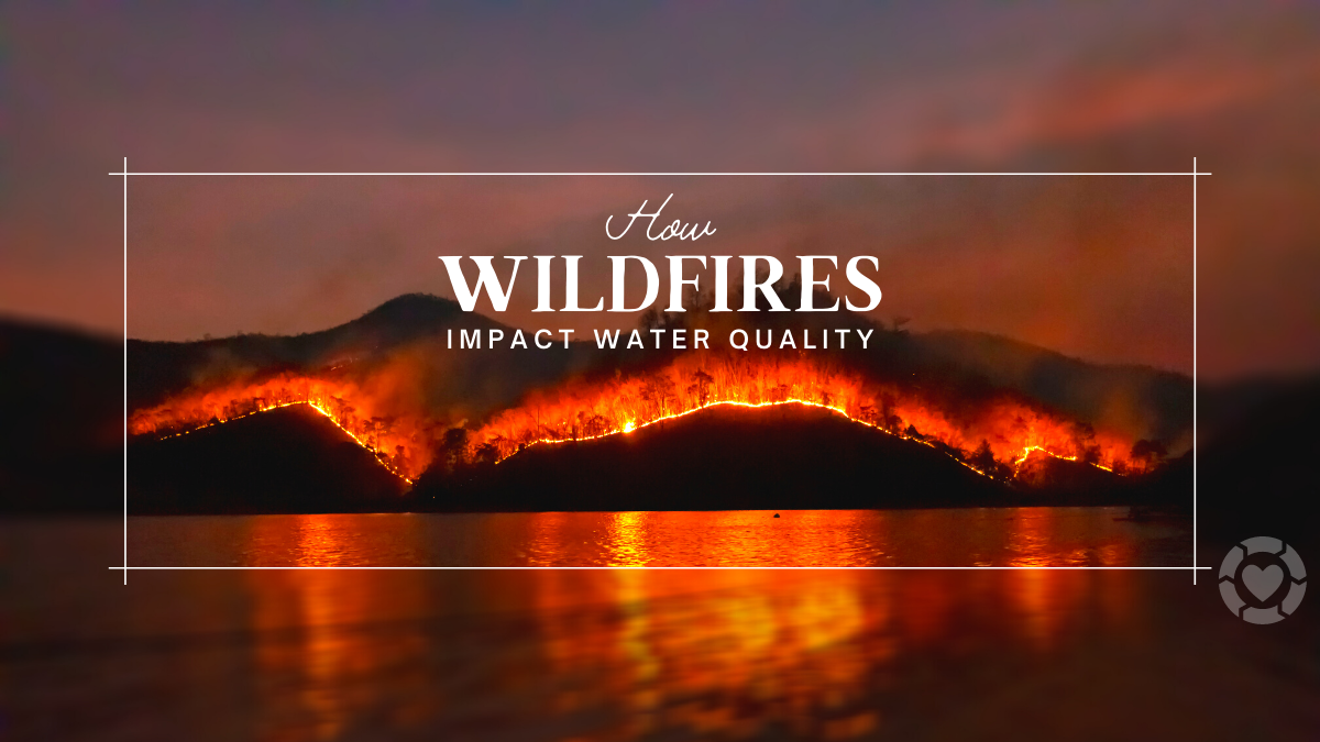How Wildfires impact Water Quality – ecogreenlove