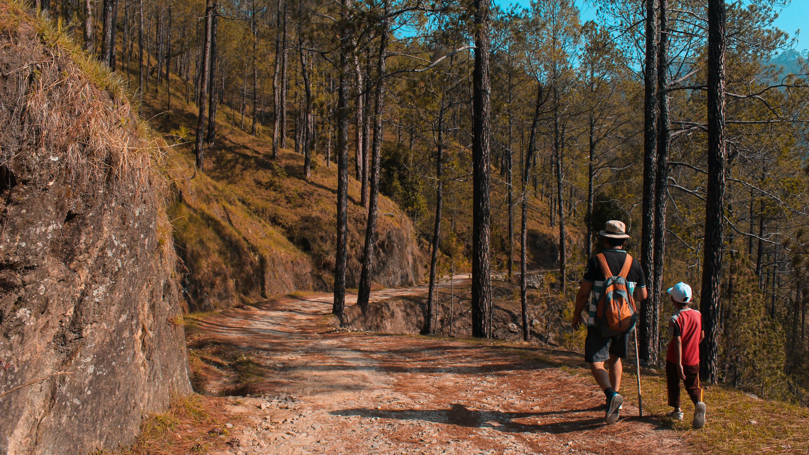 6 Sustainable Tips For Eco-Friendly Hiking and Planning – ecogreenlove