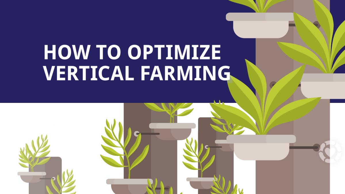 Optimizing Vertical Farming [Visual] – ecogreenlove