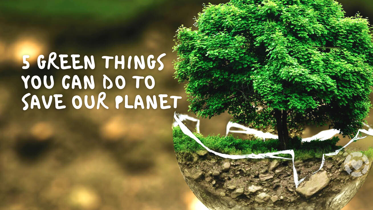 Five Green Things you can do to Save Our Planet – ecogreenlove