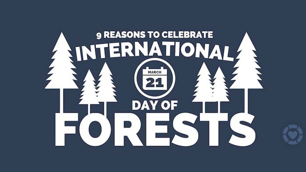 Reasons to Celebrate International Day of Forests – ecogreenlove