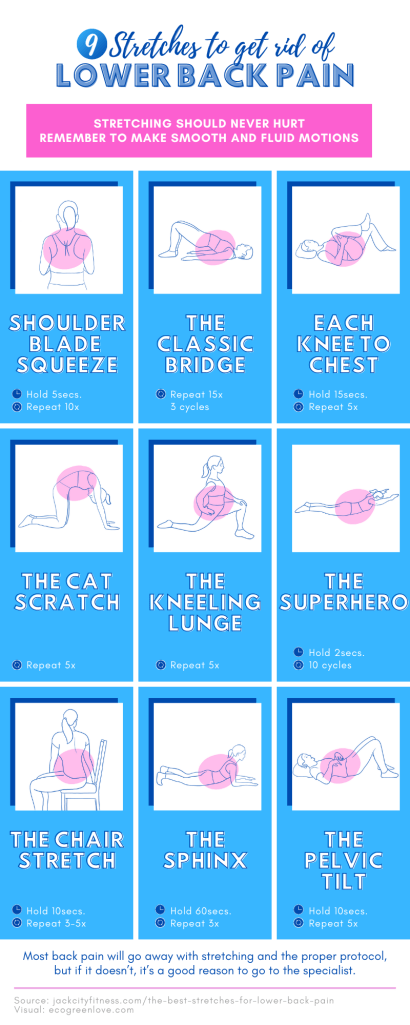 The Best Stretches for Lower Back Pain [Visual] – ecogreenlove
