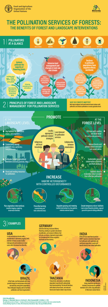 The Pollination Services of Forests [Infographic] – ecogreenlove