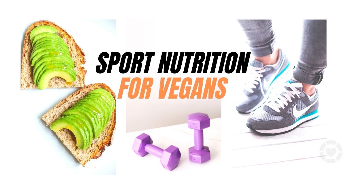 Sports Nutrition for Vegans [Visual] – ecogreenlove
