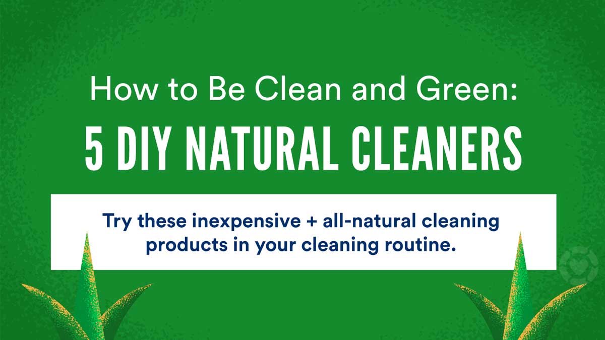 5 DIY Natural Cleaners [Visual] – ecogreenlove