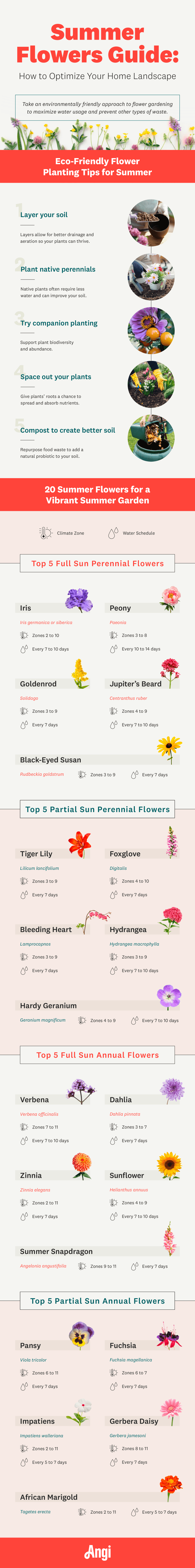 Summer Flowers for your Eco-Friendly Garden [Visual] – ecogreenlove