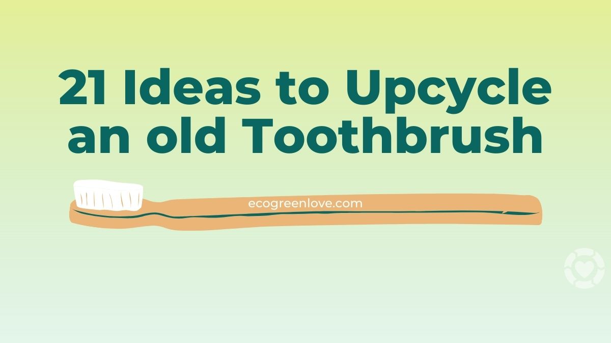 21 ways to Repurpose old Toothbrush – ecogreenlove
