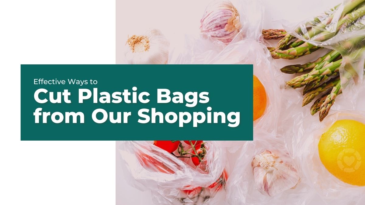 Effective Ways to Cut Plastic Bags from Our Shopping – ecogreenlove