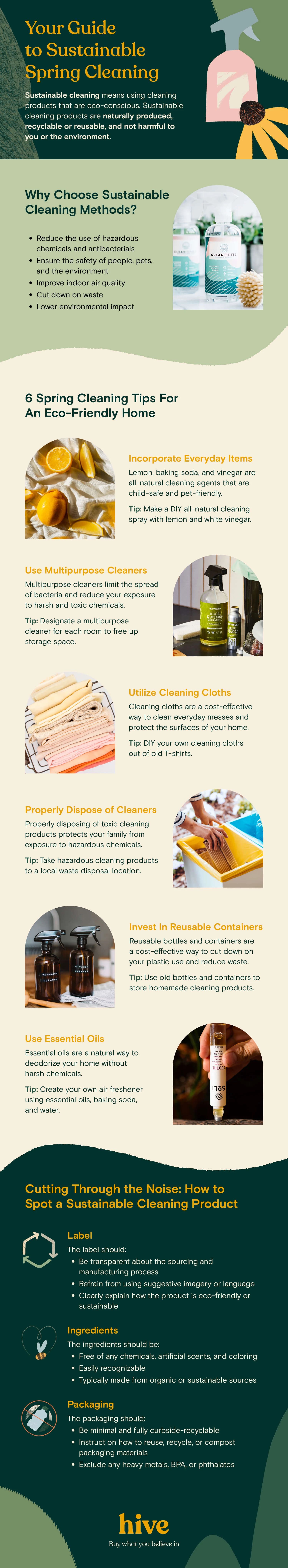 Sustainable Spring Cleaning [Visual] – ecogreenlove