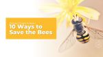 Primary Threats to Bees + 10 ways to save them [Visuals] – ecogreenlove