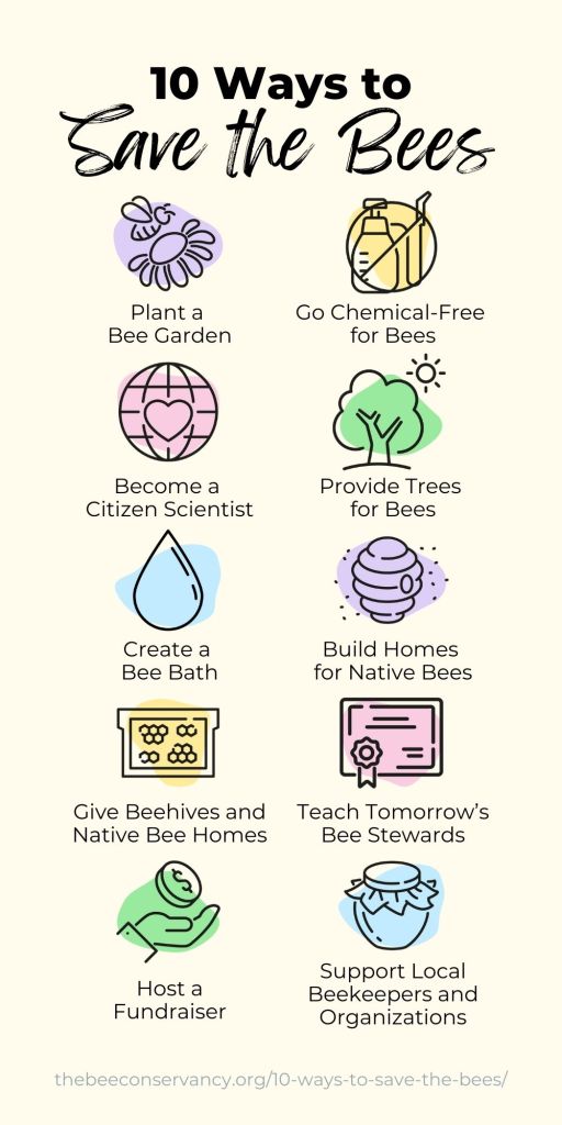 Primary Threats to Bees + 10 ways to save them [Visuals] – ecogreenlove