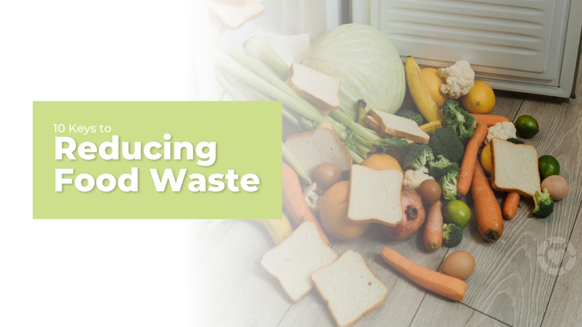 10 Keys to Reducing Food Waste – ecogreenlove