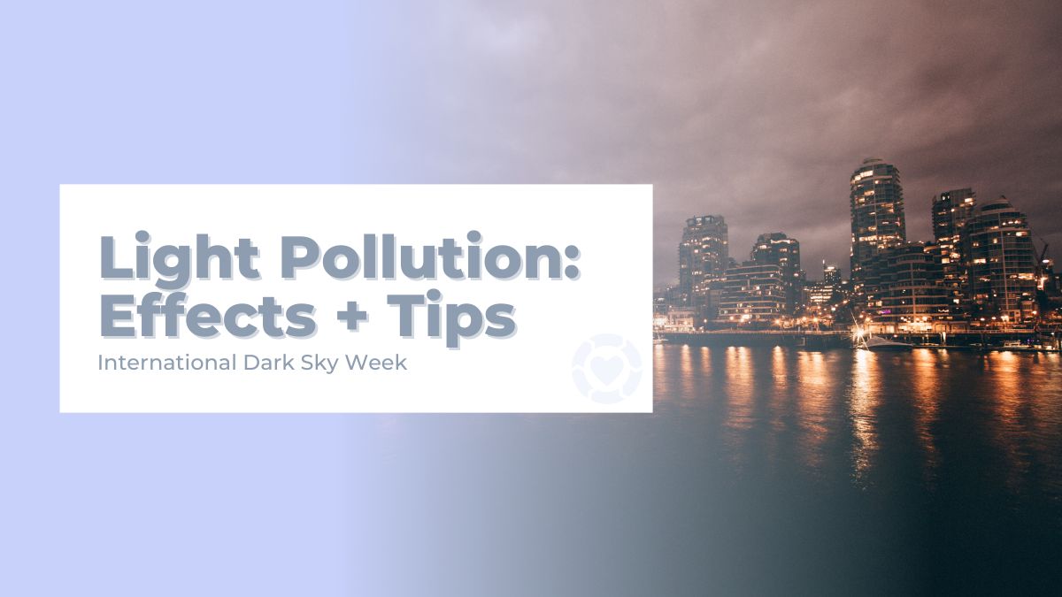 Prevention Of Light Pollution Turn Off The Porch Light: 6 Easy Ways To