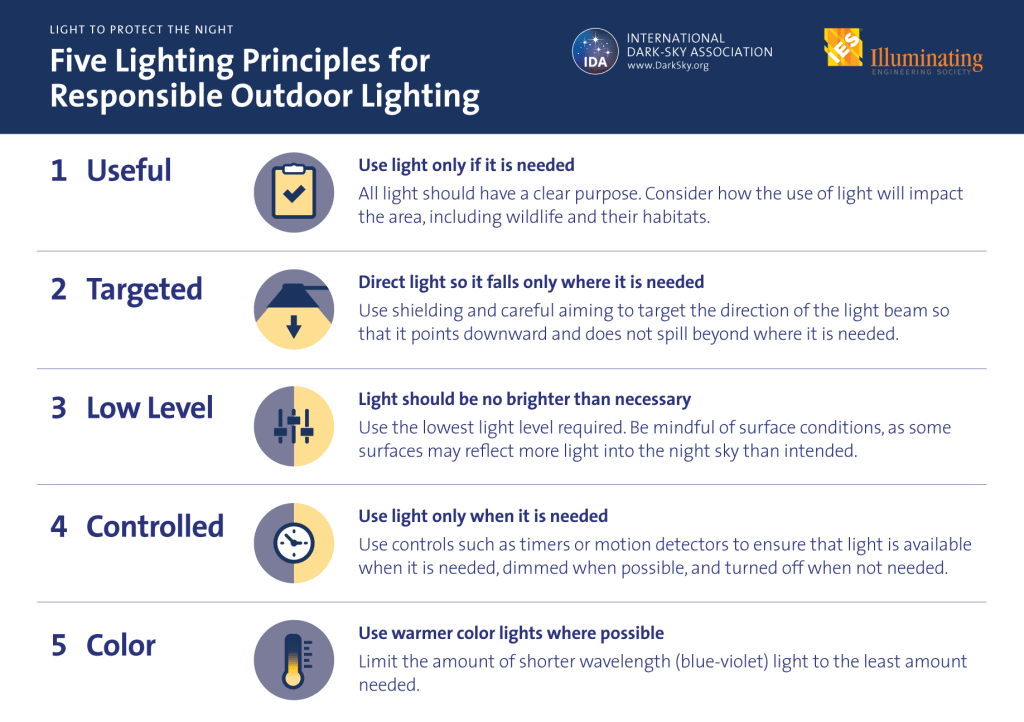 Light Pollution [Visuals + Video] – ecogreenlove