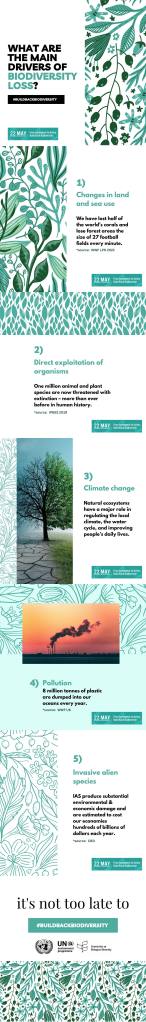 From Agreement to Action: Build Back Biodiversity [Visuals] – ecogreenlove