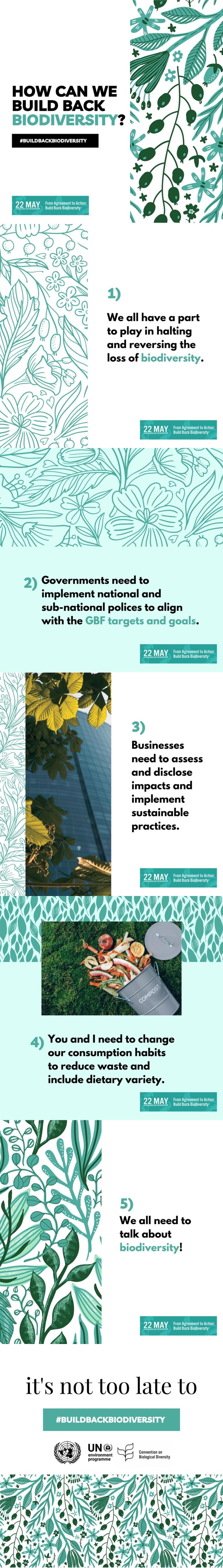 From Agreement to Action: Build Back Biodiversity [Visuals] – ecogreenlove