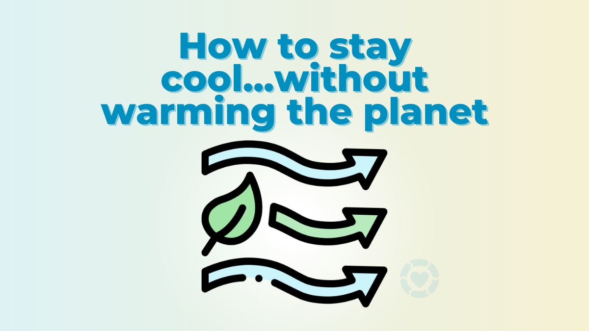 How to stay cool…without warming the planet 🌍 [Video] – ecogreenlove