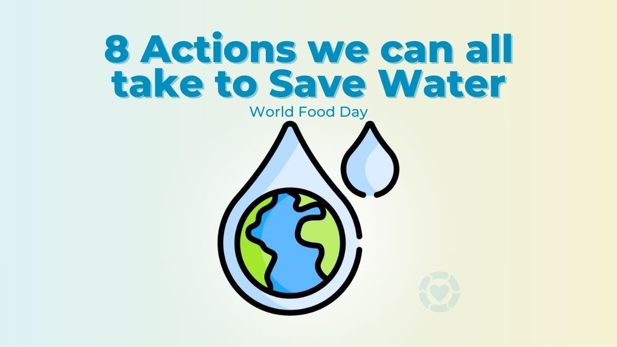8 Actions we can all take to Save Water [Video] – ecogreenlove