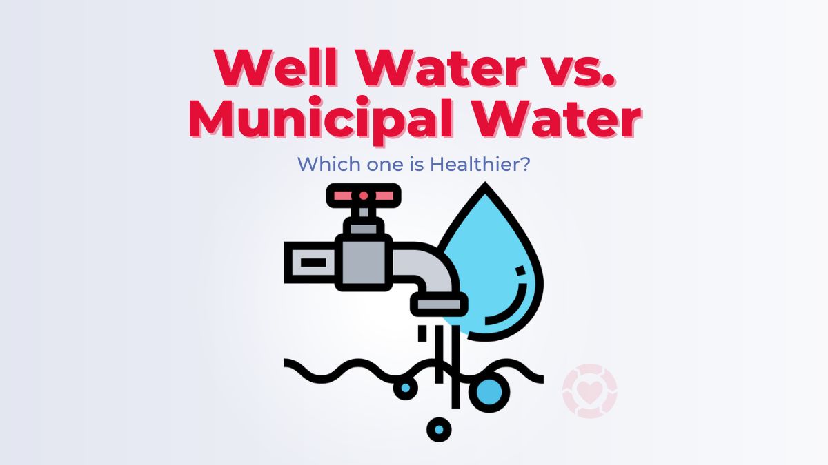 Is Well Water Healthier Than Municipal Water? – ecogreenlove