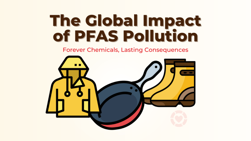 The Global Impact of PFAS Pollution [Visual] – ecogreenlove
