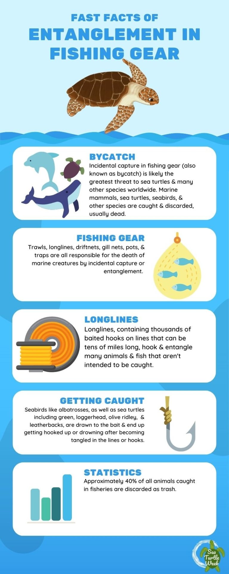 7 Threats to Sea Turtles + Ways You can Help [Visuals] – ecogreenlove